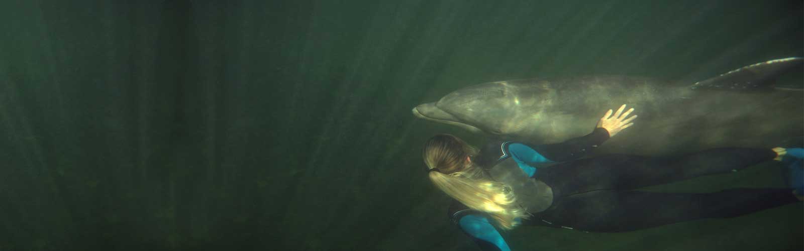 Rescue - Theater of the Sea