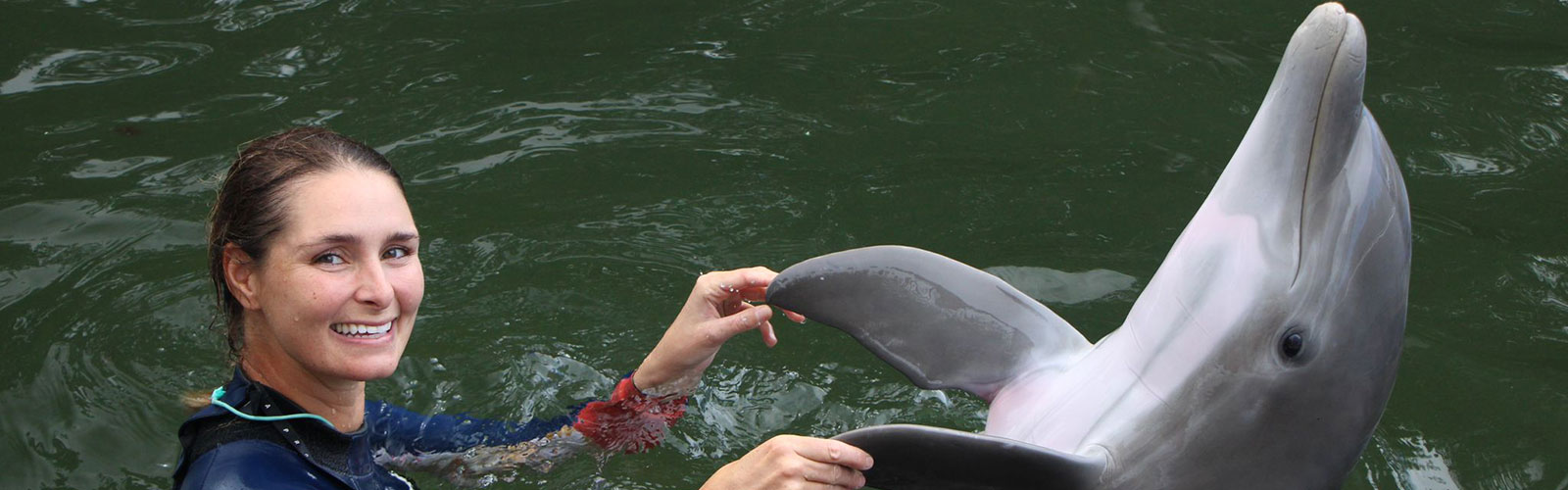 Animal Care Seasonal Employment/Internship - Theater of the Sea